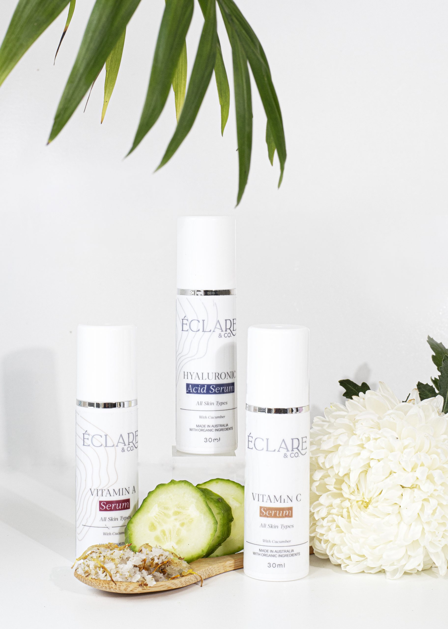 Eclare & Co. – William West Design